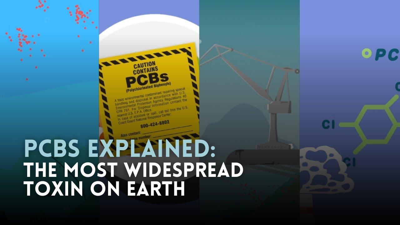 PCBs Explained: The Most Widespread Toxin on Earth
