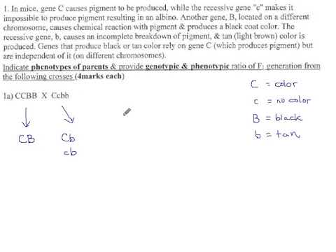 49 - Polygenic Trait - Mouse Colors (p39)