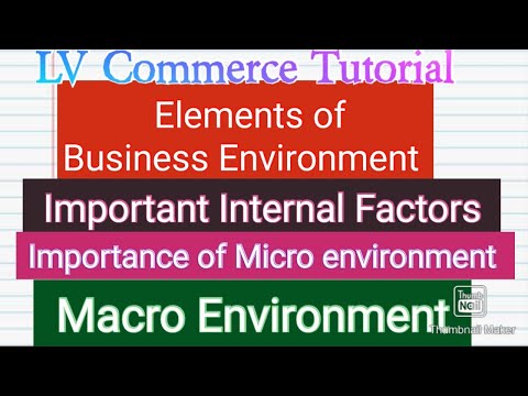 Elements of Business Environment, internal factors micro  Macro environment LV Commerce Tutorial