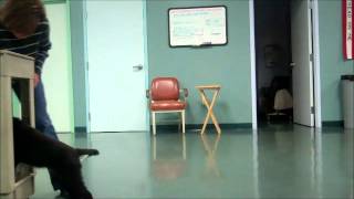 File Clerk Overview | What is a file clerk? - Zippia