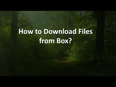 How to Download Files from Box?