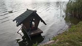 Pedrollo (Педролло) официальный сайт №1 в Украине Гарантия Качества