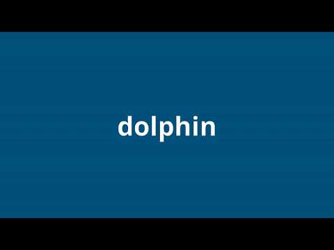 what is the meaning of dolphin