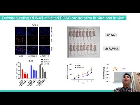 Integration of Transcriptome and Cistrome Analyses Identifies the RUNX1 Target Genes Involved