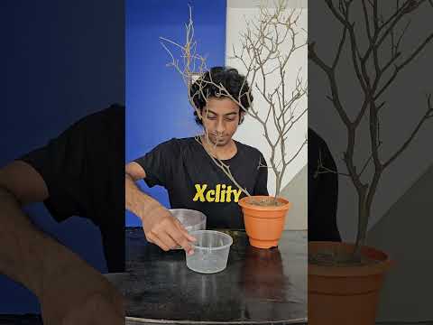 Artificial Flowers Hack😱 #fyp #diy #lifehacks #experiment
