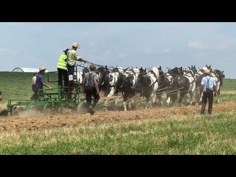 Horse Progress Days Highlights 2024