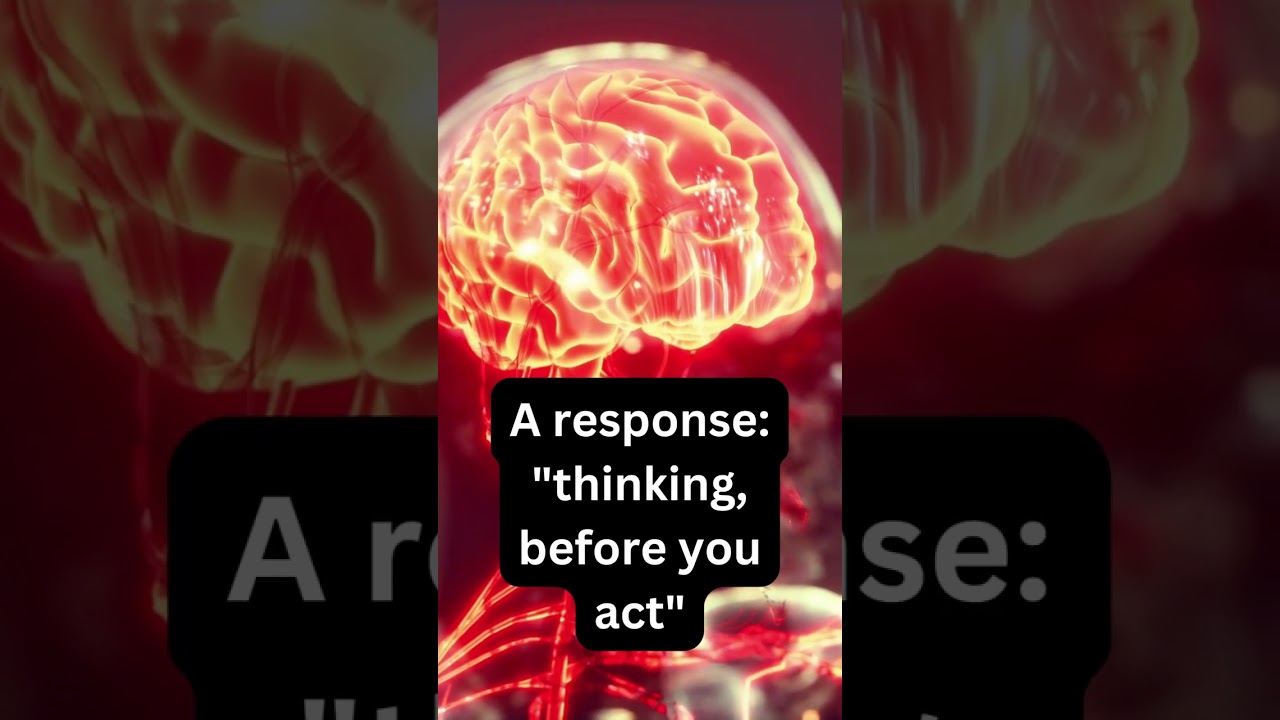 What's the difference between a reaction and a response?