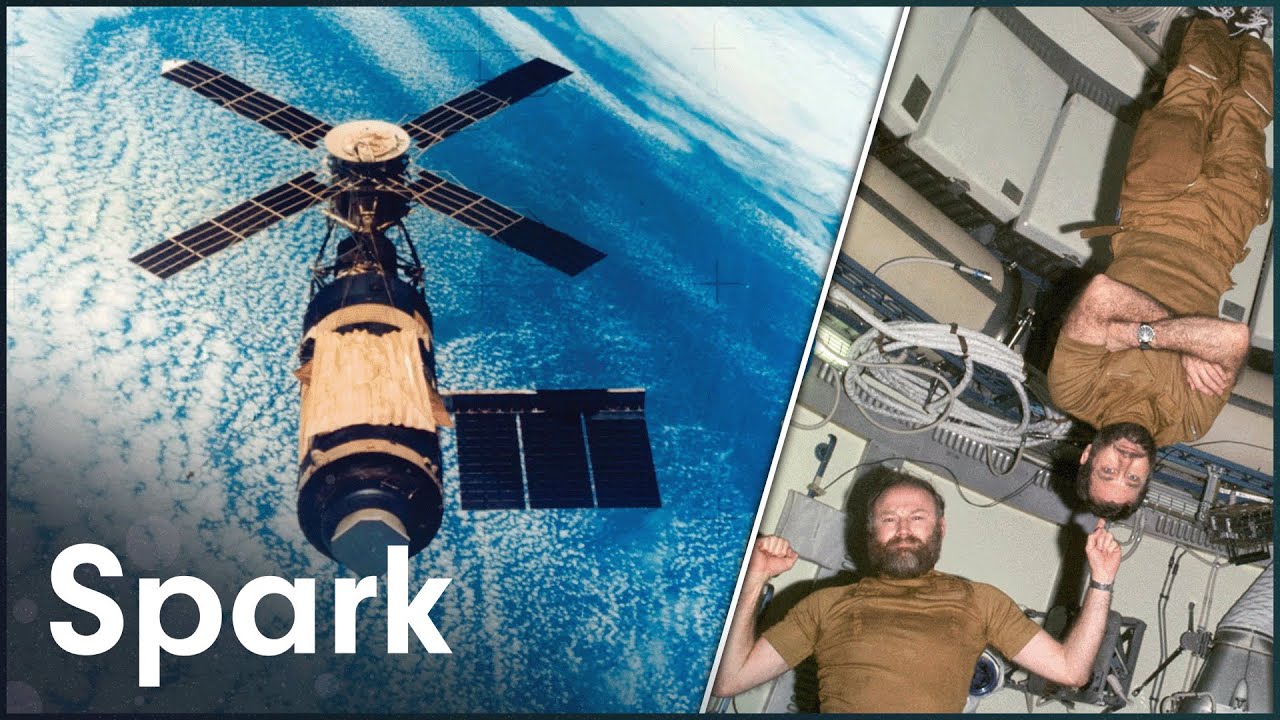 How Humans Are Able To Live In Space