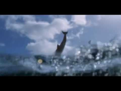 Oceana | Aéro Ocean Conservation Film