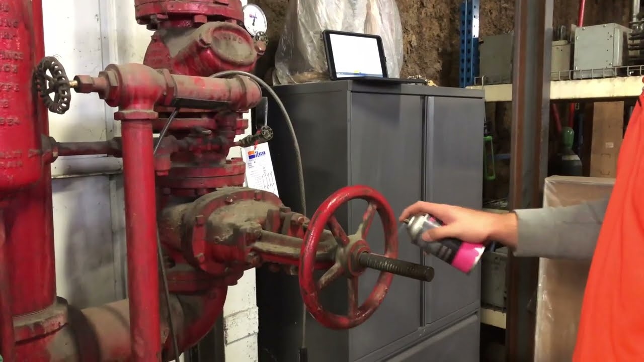 Wet Sprinkler Inspection