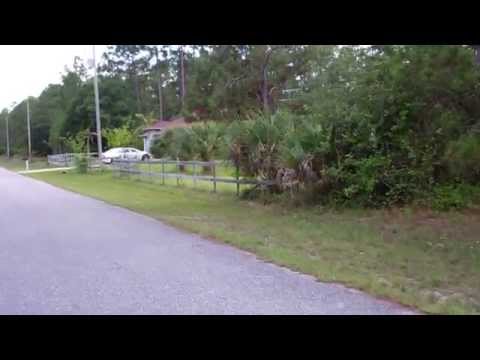 1/2 Acre at 917 Irving Avenue, Lehigh Acres, FL 33972 for $7,900 - SOLD