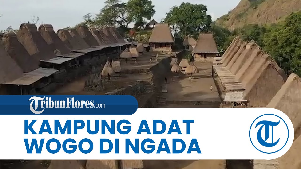 Mengenal Kampung Adat Wogo di Ngada NTT, Wisatawan akan Disuguhi Puluhan Sa'o yang Berjejer Rapi ...