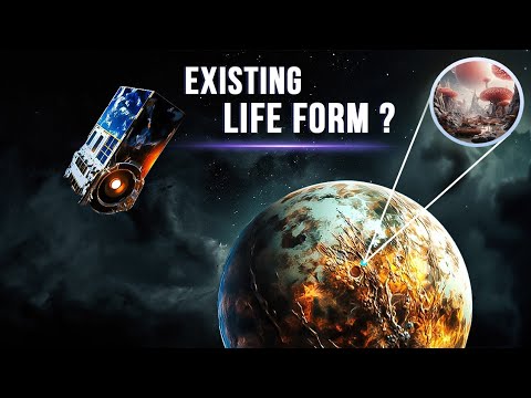 The TOLIMAN Space Telescope – Doyle's Space