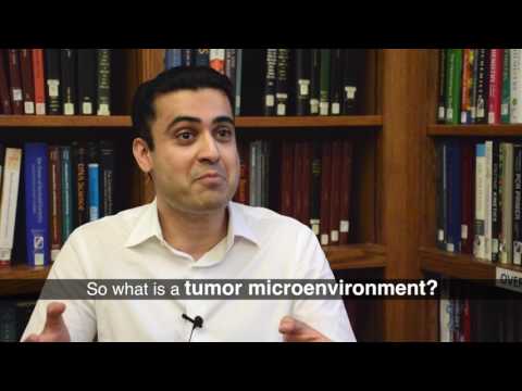 Battling Breast Cancer: Understanding the Tumor Microenvironment