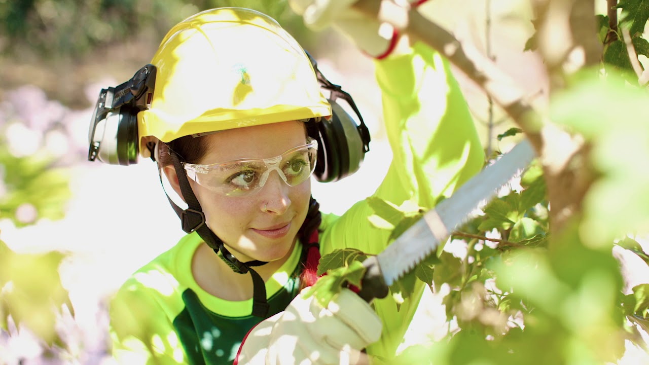 Become a Commercial Arborist