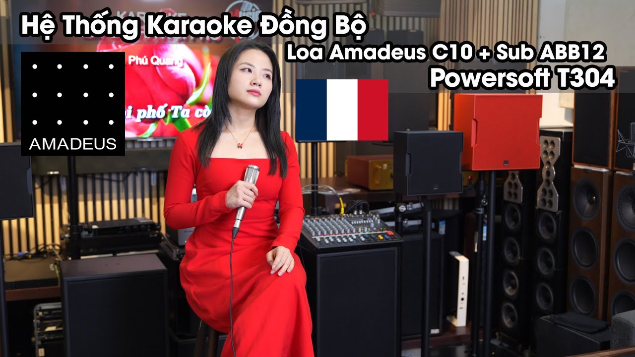 Hệ Thống Karaoke Đồng Bộ Loa Amadeus C10 Và C6 + Subwoofer ABB 12 Phối Ghép Power Powersoft T304