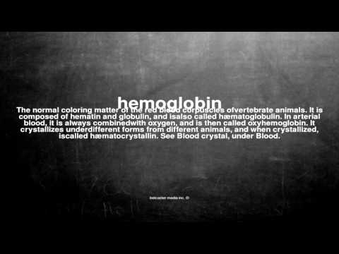 What does hemoglobin mean