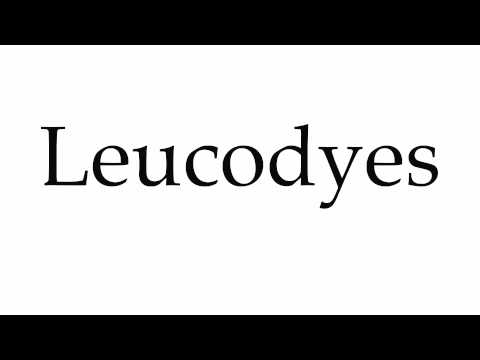 How to Pronounce Leucodyes