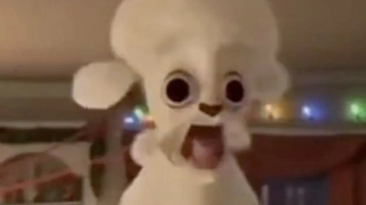 Random memes I permanently borrowed PT.703