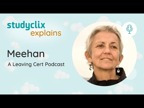 Leaving Cert English Poetry: Paula Meehan. Tips, Tricks, and In-depth Analysis. Studied Poetry