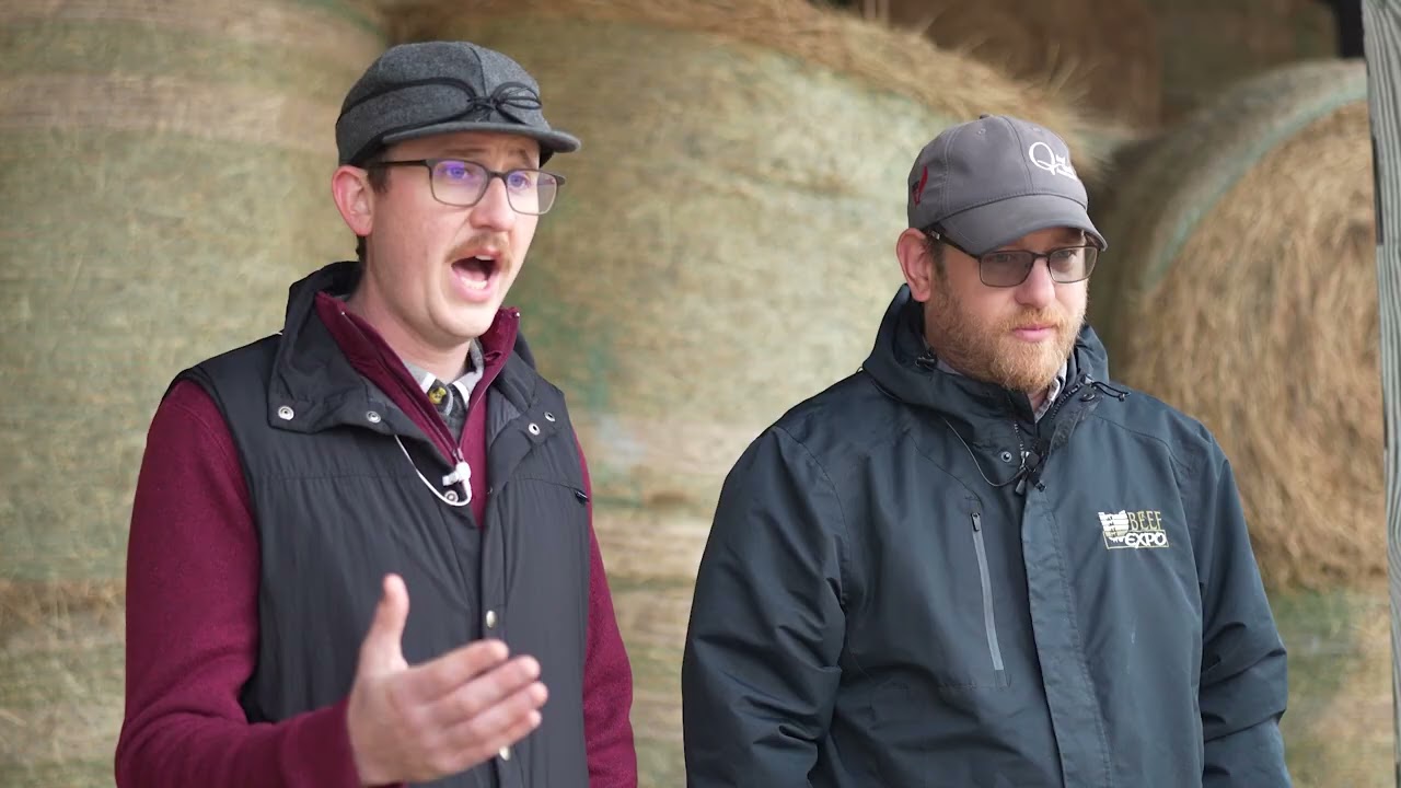 Forage Test Results Explained | Understanding Forage
