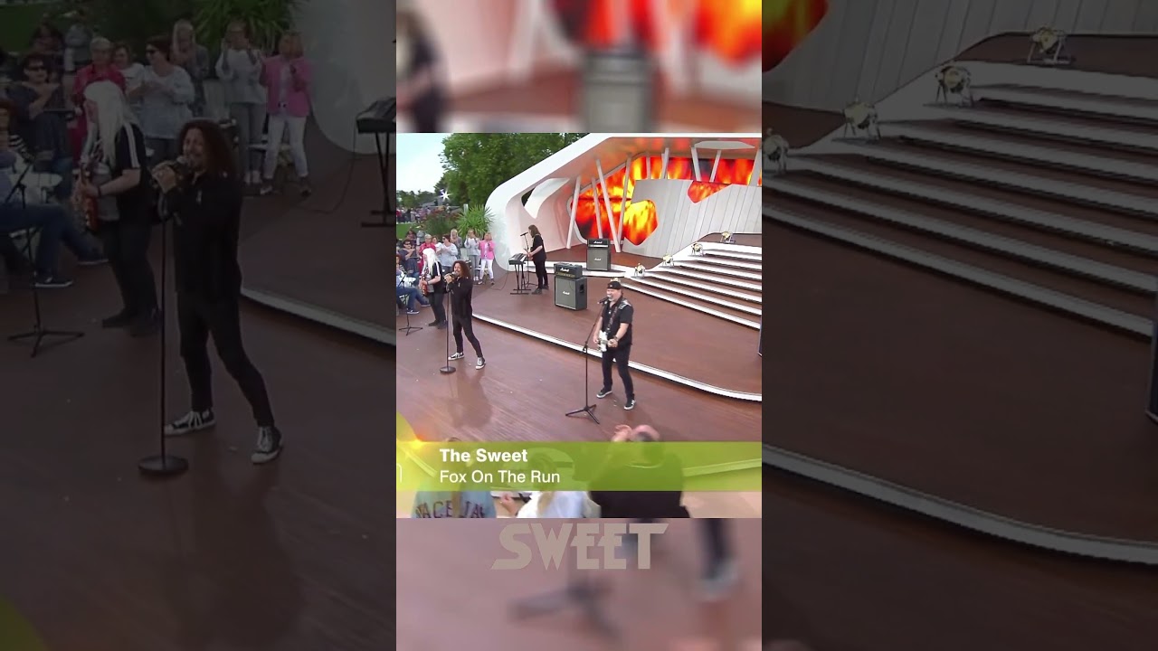 Fox on the run! #sweet #sweetofficial #zdf #andyscott