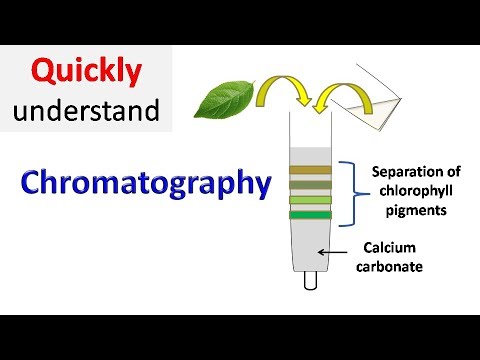 Chromatography