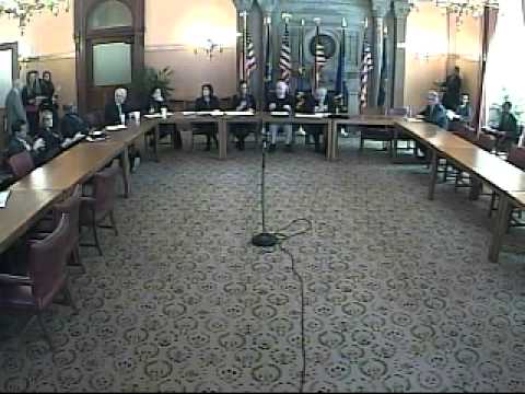 New York State Senate Committee on Health 1/24/2013