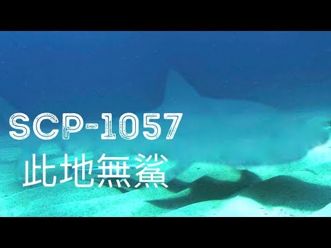 SCP基金會 SCP-1057 Absence of Shark 此地無鯊 ; SPC-1057-J Absence Of Punchable Shark 此地無可毆打的鯊 (中文)