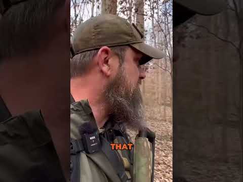 🦌Tracking Deer: How to Find and Follow Active Game Trails