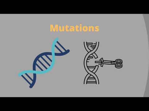 Iron Deficiency Anemia, Type 2 Diabetes, and Genetic Susceptibility