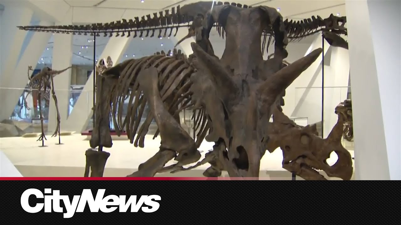 A new permanent home for the ROM