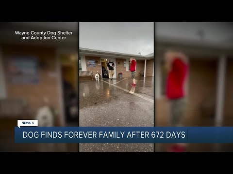 Dog adopted after spending 672 days at Wayne County Dog Shelter and Adoption Center