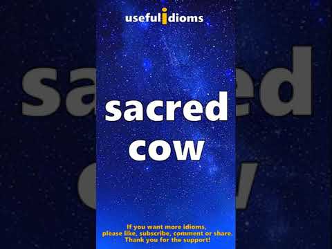 Useful Idioms 136: Sacred cow #motivation #idioms #englishlanguage #religion