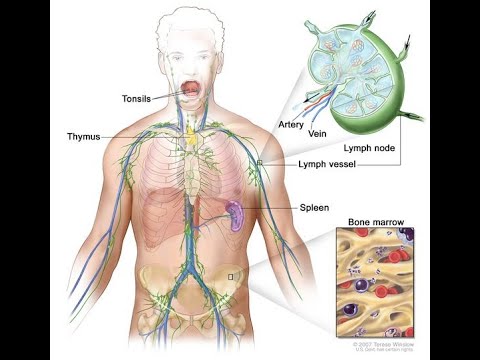 Lymphangiotomy CPT code - simplify medical coding