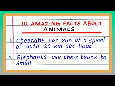 Amazing Facts about Animals | Interesting Facts about Animals