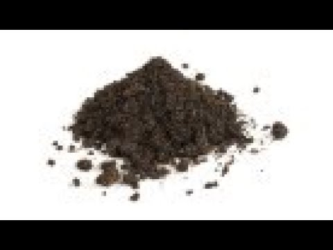 How to Extract DNA from Soil using the Presto™ Soil DNA Extraction Kit