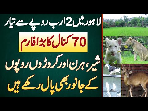 Lahore Me 2 Arab Rupees Se Taiyar 70 Kanal Ka Farm - Sher, Hiran Or Karoron Ke Janwar Paal Rakhe Ha