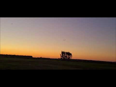 Rotary damper viscous timer for free flight dethermalizer by ...