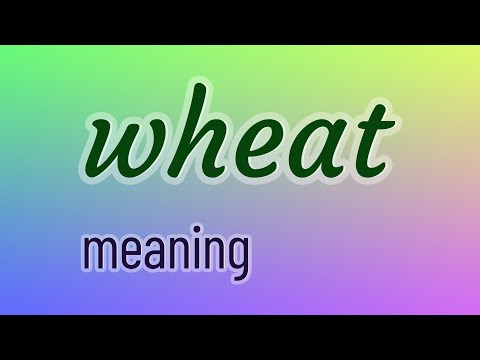 Wheat - 64 English Vocabulary Flashcards