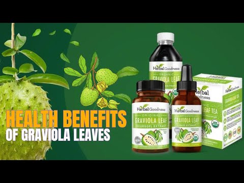 Health Benefits of Graviola Leaves - Herbal Goodness