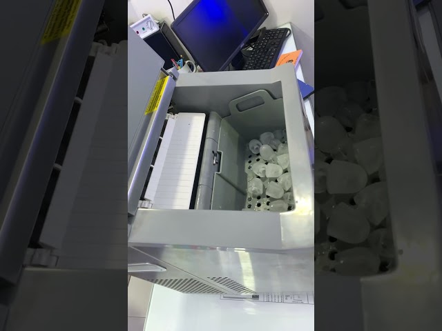 Ice Making Machine - Blue Star Ice Cube Machine ICM 20 Trader ...