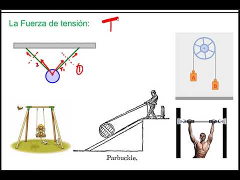 TOMi.digital - Diagrama de Cuerpo Libre (DCL)