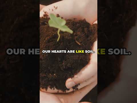 The Parable of the Sower: A Journey of Faith