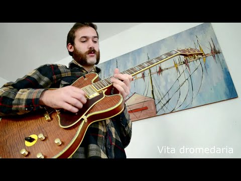 Peerless Guitars Firefox Custom iMuso