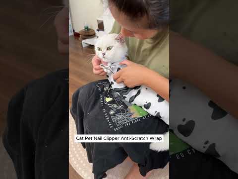 Escape-Proof Cat Nail Trimming: The Ultimate Solution! #catlovers
