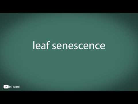 How to pronounce leaf senescence