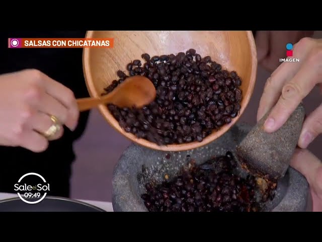 Qué son las chicatanas: un manjar volador de la cocina mexicana