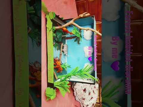 easy forests habitat diorama for school 🏫 project by Sara_blinkarmygirl 🥰🥰😆