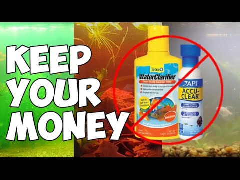 3 TYPES OF CLOUDY AQUARIUM WATER